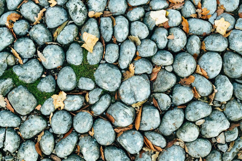 Texture of Pebble Pathway with Dry Autumn Leaves As Background Stock ...