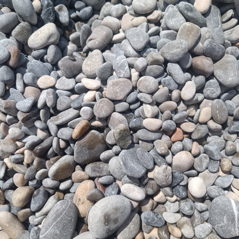 Pebbles in Close-up on the Beach Stock Image - Image of black ...
