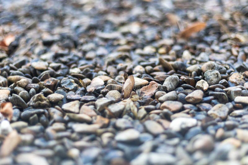 Texture of Pebbles or Small Rocks on the Ground Stock Photo - Image of ...