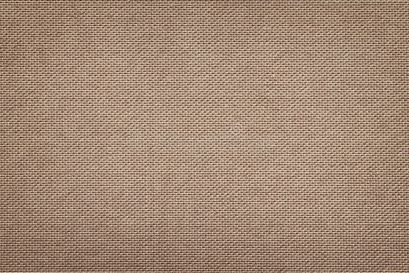 Texture of Perforated Cardboard Sheet, Background Pattern. Stock Image ...