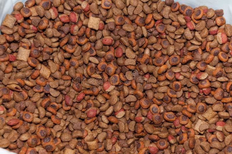 Texture, pet food dog care stock photo. Image of canine - 149529448
