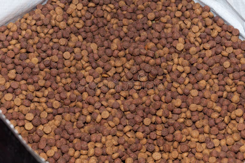 Texture, pet food dog care stock photo. Image of organic - 149529460