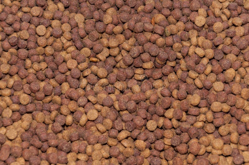 Texture, pet food dog care stock photo. Image of closeup - 149529586