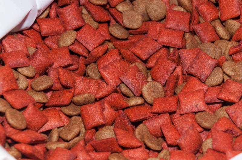 Texture, pet food dog care stock image. Image of orange - 149529685