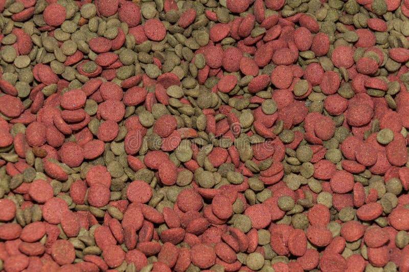 Texture, pet food dog care stock photo. Image of orange - 149529742