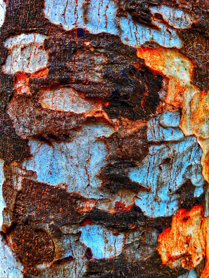 Texture Pic of Burning Tree Bark Stock Photo - Image of beauty, texture ...