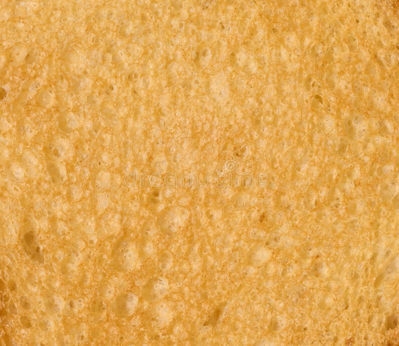 Texture of a Piece of Bread Made of White Wheat Flour, Toast Bread ...