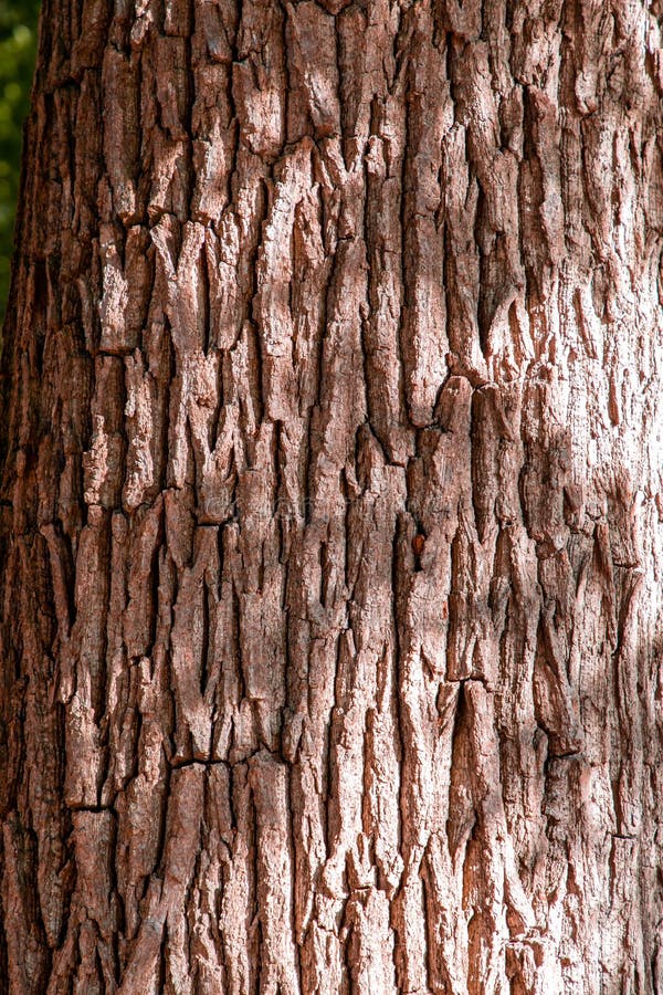 Red Texture from a Piece of Wool Knitted Fabric Stock Image - Image of ...