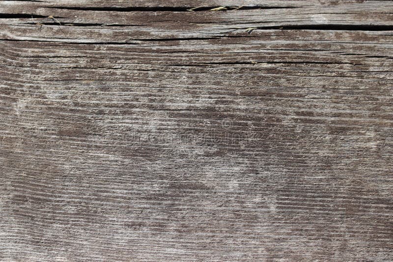 Texture from a Piece of Old Trunk Stock Image - Image of dark, trunk ...