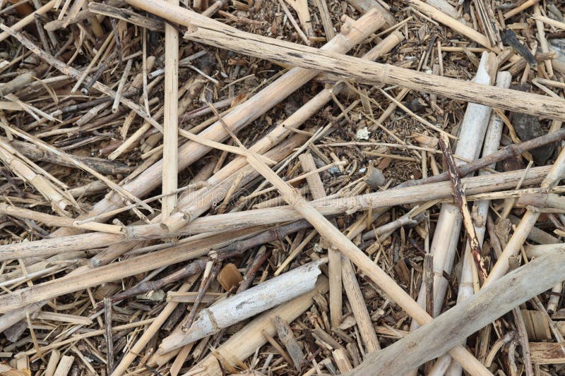 Texture of a Pile of Sticks and Grass Stock Image - Image of rustic ...