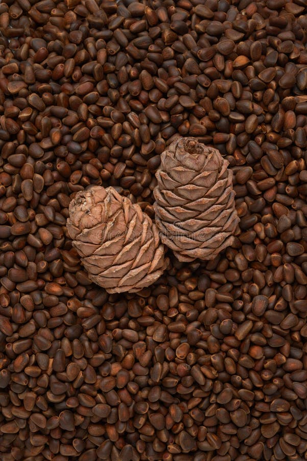 Texture of Pine Nuts and Two Ripes Pine in Center, Vartical Orientation ...