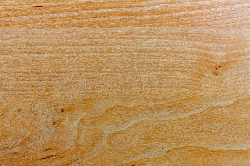 Pine Wood Texture Light Color Stock Photo - Image of jacket, wood: 13639708