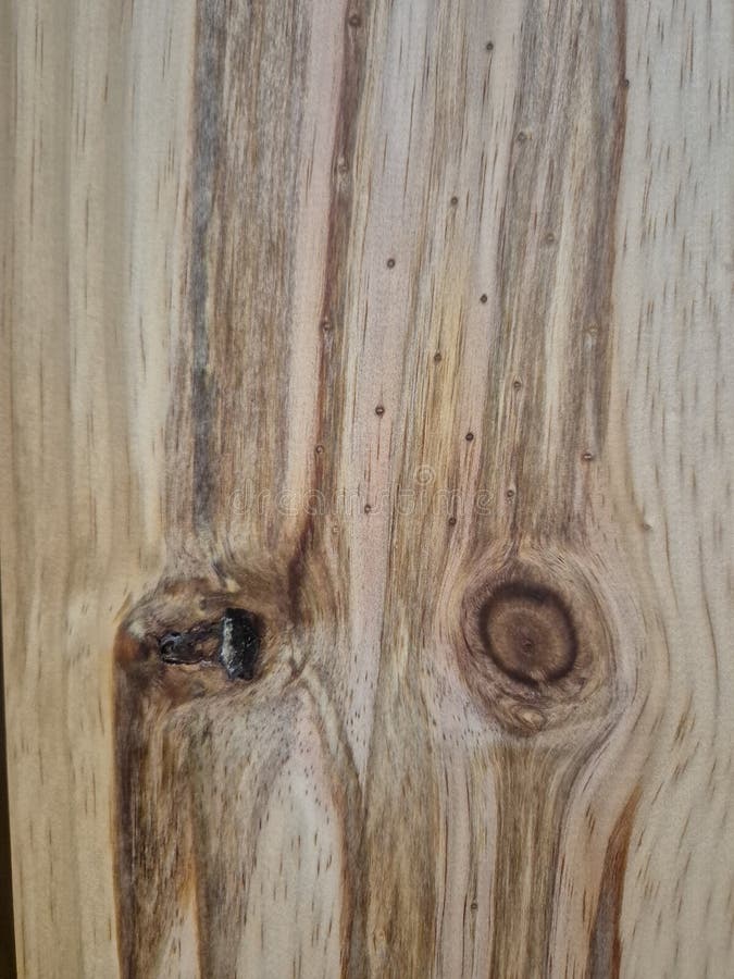 Texture of a Pine Wood Plank with Knots Stock Image - Image of tabletop ...