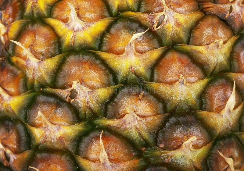 Pineapple texture stock photo. Image of outside, texture - 9579940