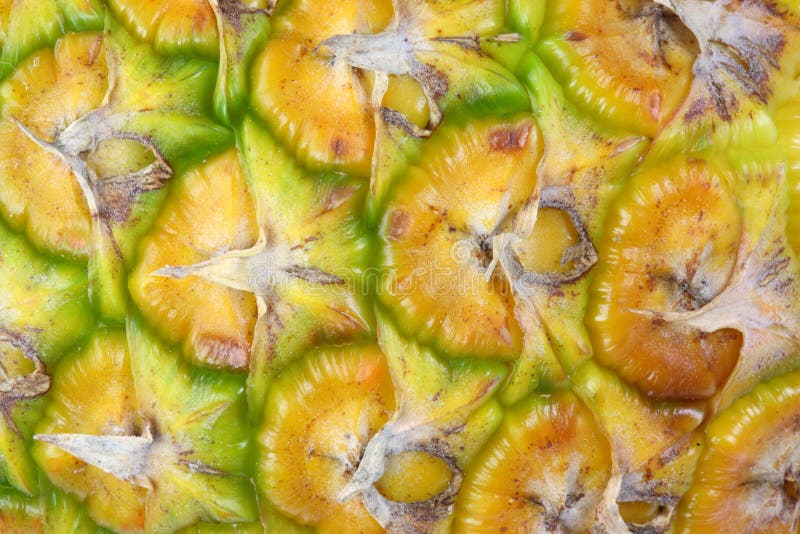 Texture of pineapple. stock image. Image of ingredient - 6808653