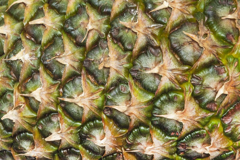 Pineapple skin background stock image. Image of yellow - 235978761