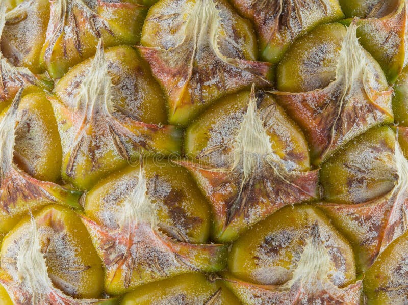 Texture of pineapple skin stock photo. Image of skin - 76631160