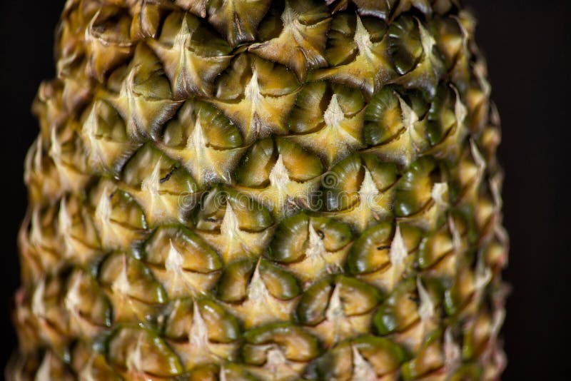 Texture of Pineapple Skin stock photo. Image of ananas - 130642670