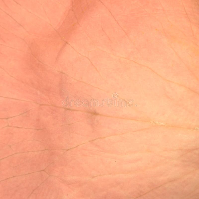 Texture of Pink Color, Abstraction Stock Image - Image of closeup ...