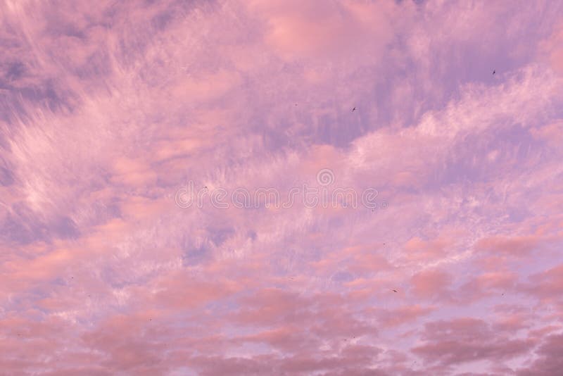 The Texture of the Pink Sky with Many Beautiful Clouds Stock Image ...