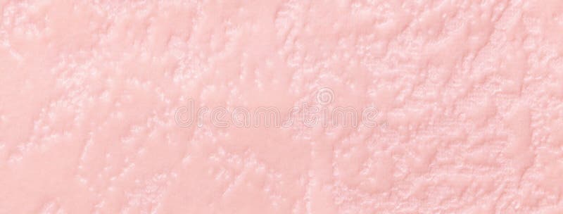 Texture Pink Velvet Background from Soft Upholstery Textile Material ...