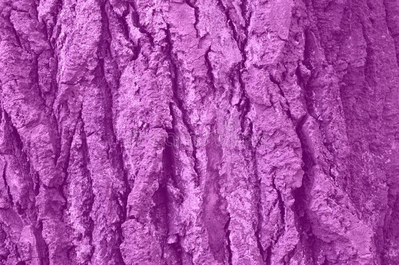 Texture of a Pink Wall, Rough Pink Bark Stock Photo - Image of cloth ...