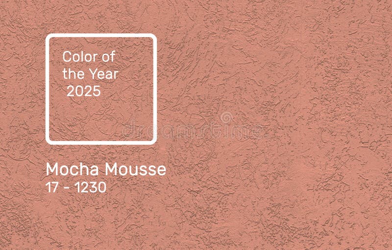 Texture of a Plaster Wall. Demonstrating Color of 2025 Year Mocha ...