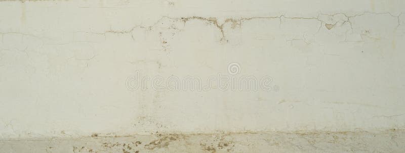 Texture of Plaster on the Wall with Fine Detail High Resolution Stock ...