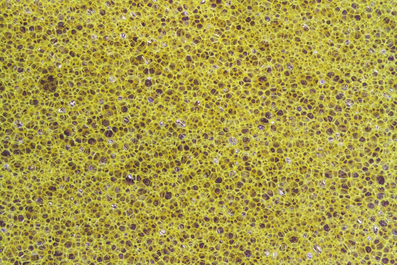 Texture of the Plastic with Small Bubbles Sponge Stock Image - Image of ...