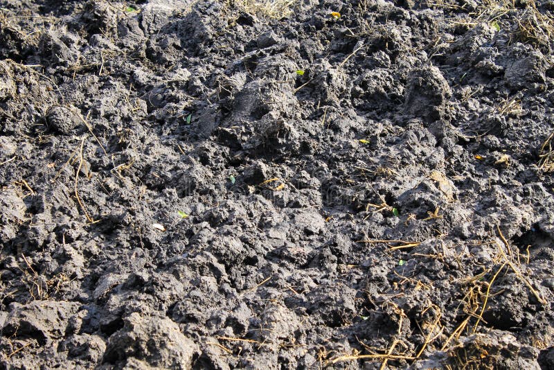 Texture of the plowed land stock image. Image of dirty - 144266003