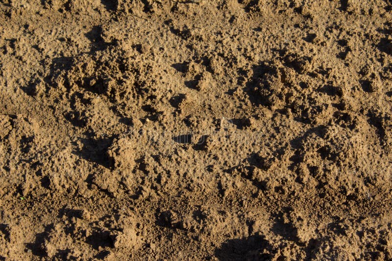 The texture of plowed land stock image. Image of plowed - 101815869