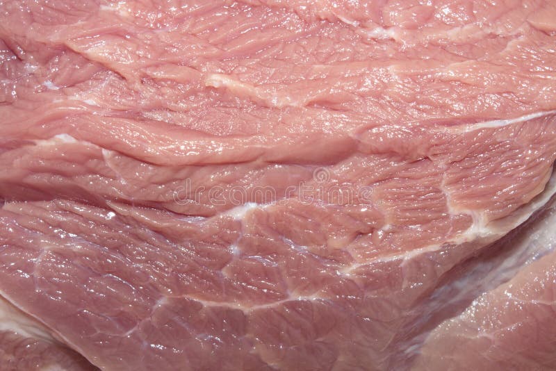 Texture of BBQ pork stock photo. Image of blood, green - 21761402