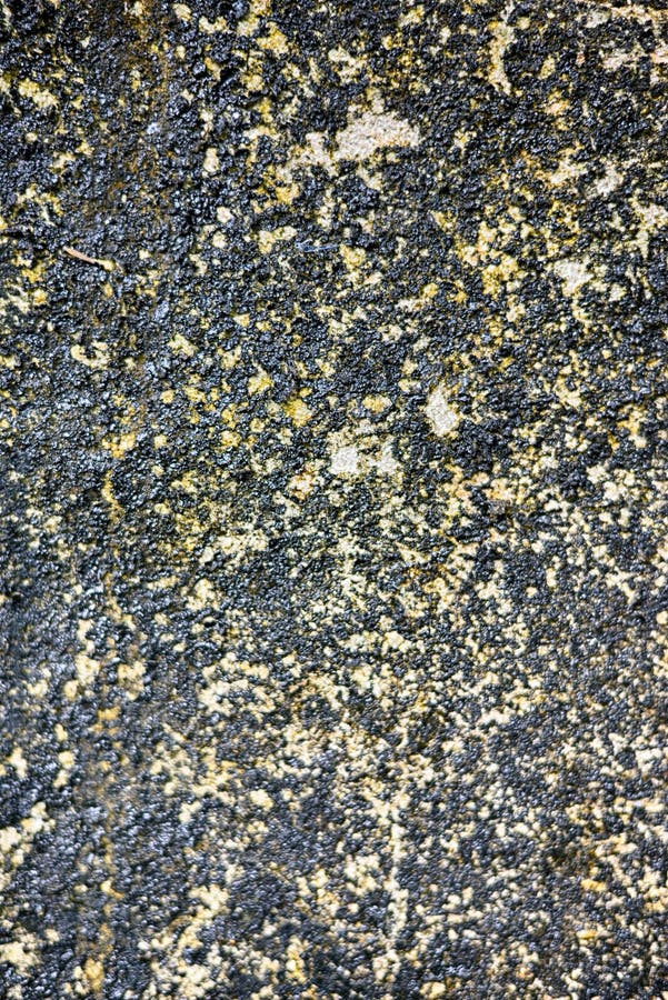 Texture and Porosity Patterns of Natural Old Stone Surfaces Stock Image ...