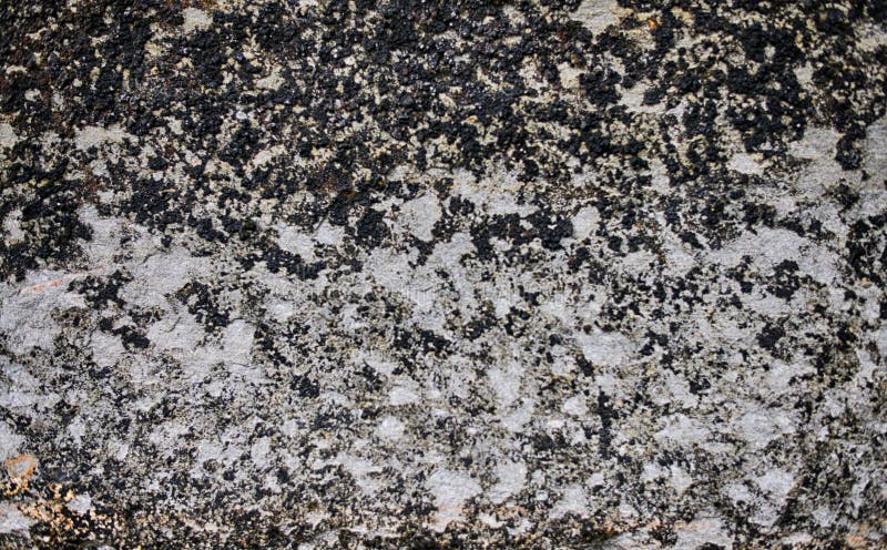 Texture and Porosity Patterns of Natural Old Stone Surfaces Stock Image ...