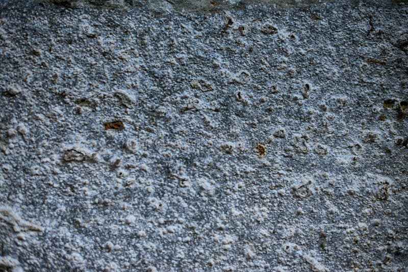 Texture and Porosity Patterns of Natural Old Stone Surfaces Stock Photo ...