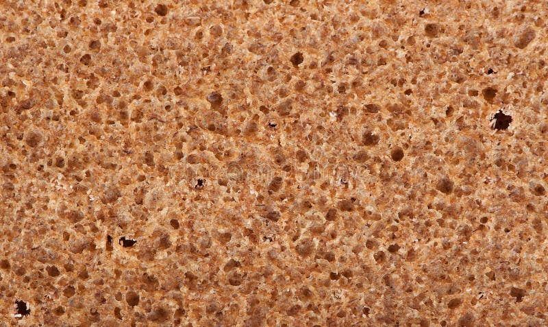 Texture of a Porous Brown Bread Stock Photo - Image of loaf, sponge ...