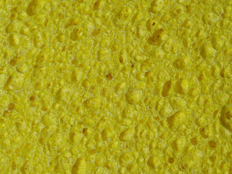 Texture of a Porous Yellow Sponge in Close-up As Background Stock Image ...