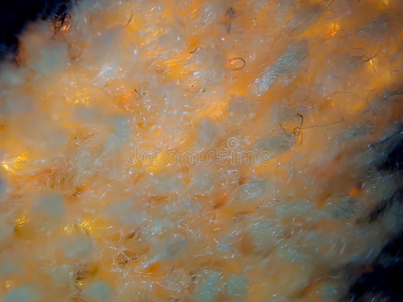 The Texture of the Prayer Rug in Dark Blue and Gold. Wallpaper ...