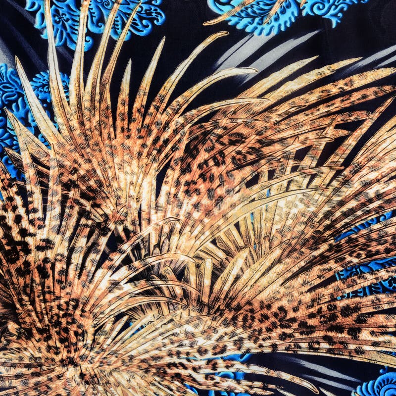 Striped feather stock image. Image of hunt, tail, elegance - 10756297