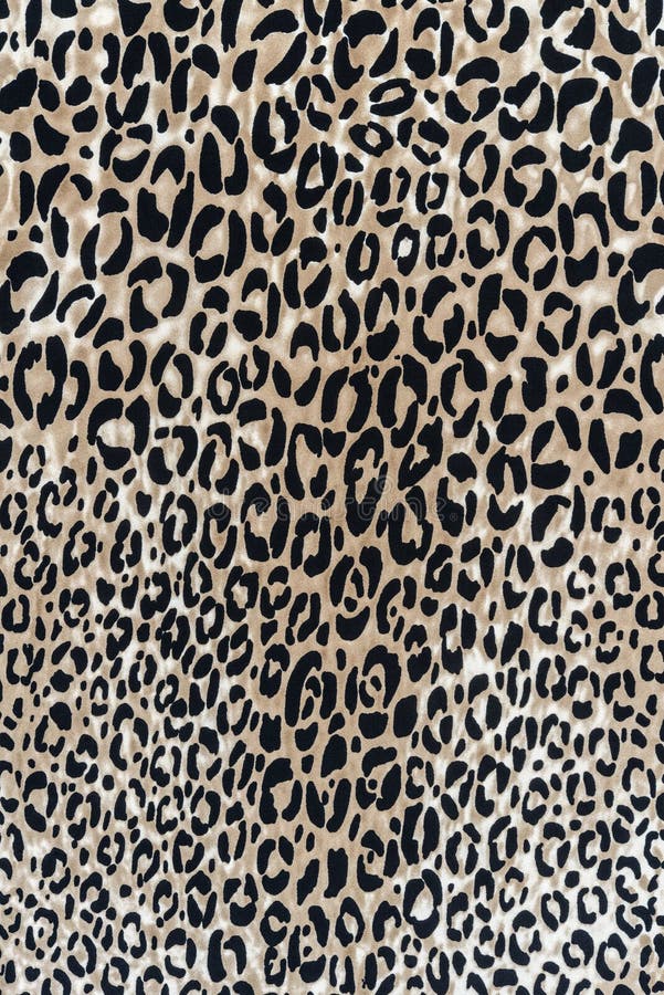 493 Leopard Tile Stock Photos - Free & Royalty-Free Stock Photos from ...