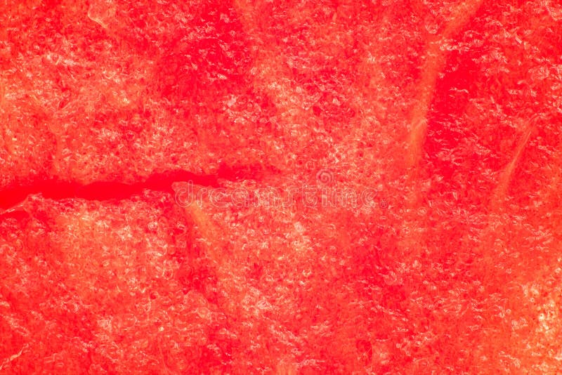 Watermelon flesh texture stock photo. Image of healthy - 2280488