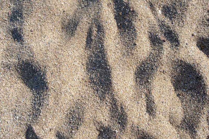 The Texture of Pure Sand on the Beach or in the Desert. Stock Photo ...