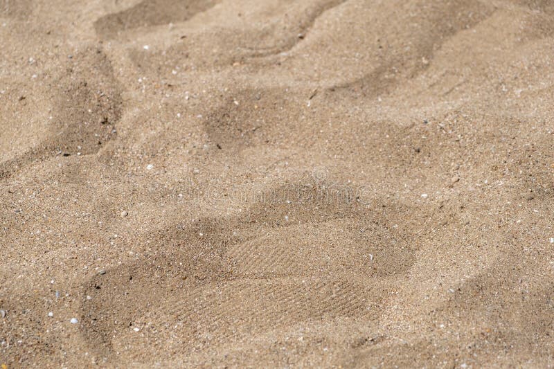 The Texture of Pure Sand on the Beach or in the Desert. Stock Photo ...