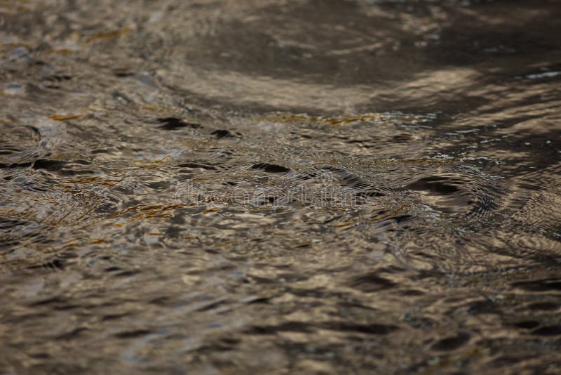 Texture of pure water stock photo. Image of clear, light - 61939772