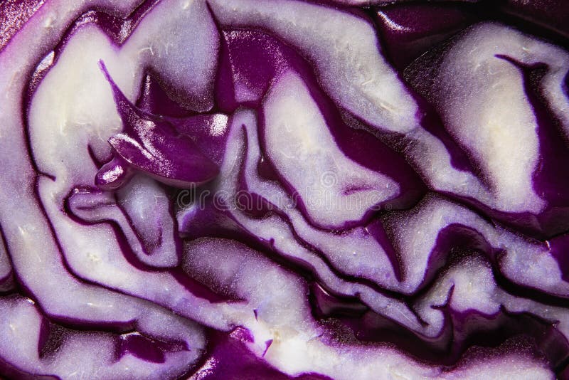 Texture of Purple Cabbage Macro Stock Photo - Image of ingredient, diet ...