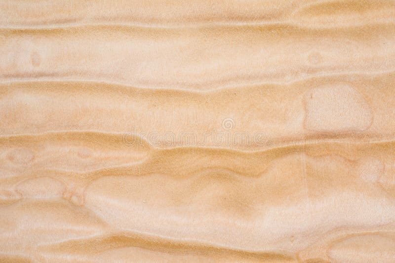 Texture of Quilted Maple stock image. Image of macro - 51269417