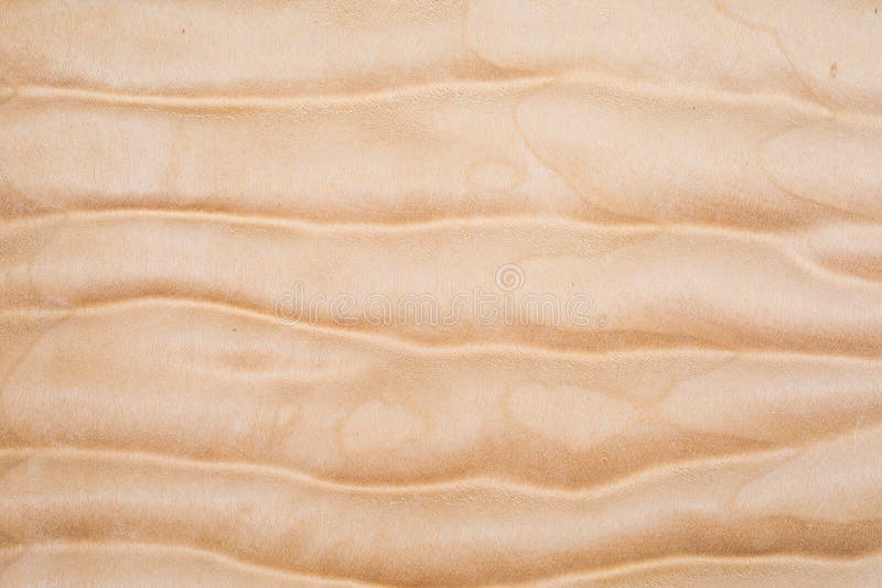 Texture of Quilted Maple stock image. Image of board - 51269881