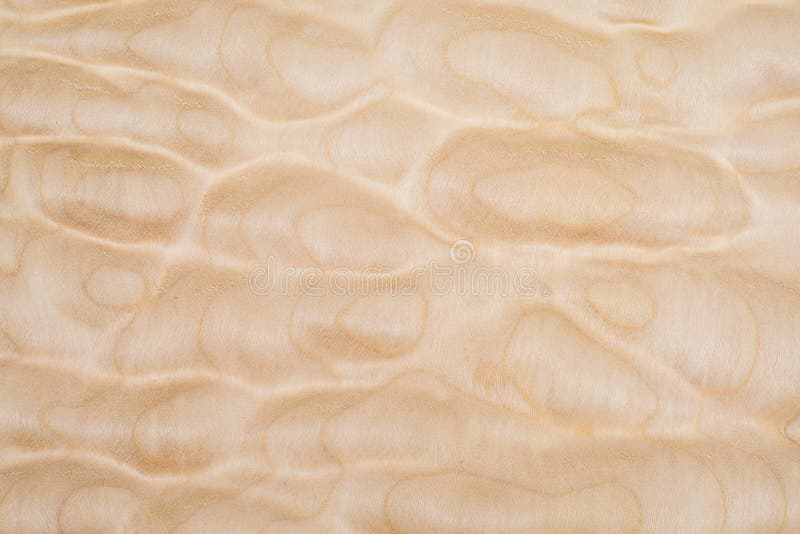 Birdseye Maple - Veneer Wood Surface Stock Photo - Image of annual ...