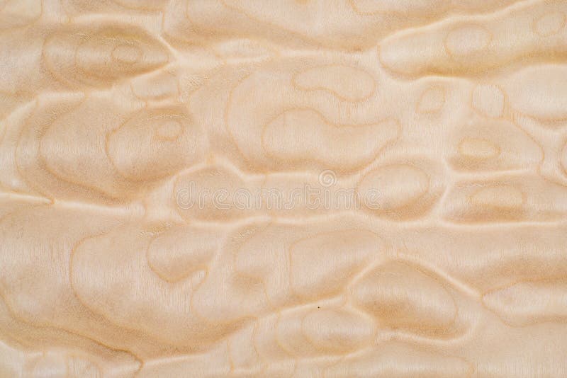 Birdseye Maple - Veneer Wood Surface Stock Photo - Image of annual ...