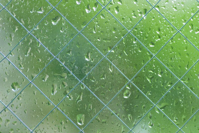 Texture of Rain Drops on Glass Window Stock Photo - Image of clear ...